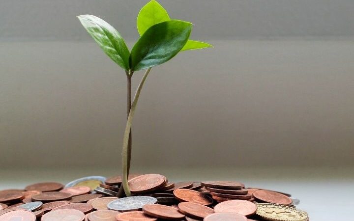 Go from 1 to 1,000 — scale your partner education program with LearnUpon + Impact - impact.com