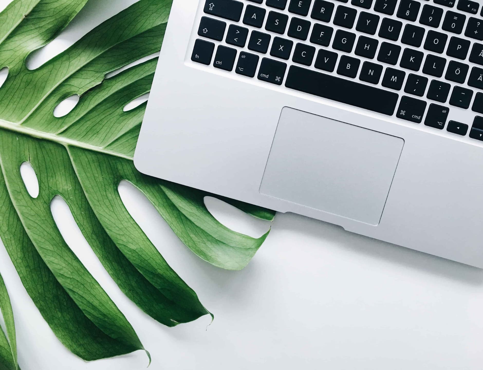 How To Grow Your Online Store With Impact Promo Codes Impact How To Grow Your Online Store With Impact Promo Codes Impact